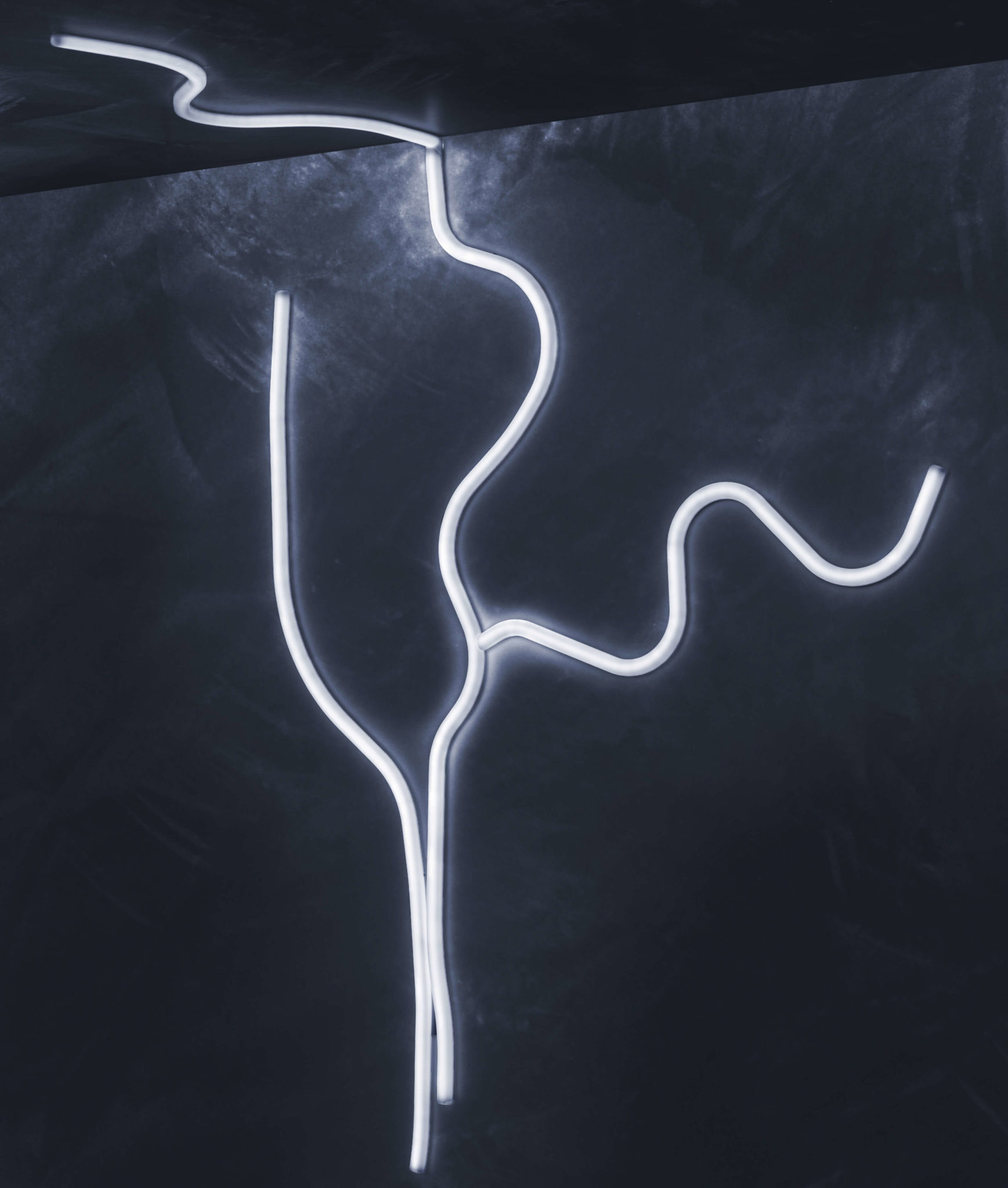 Ledera by Cini Boeri | Installation of light by Brillamenti